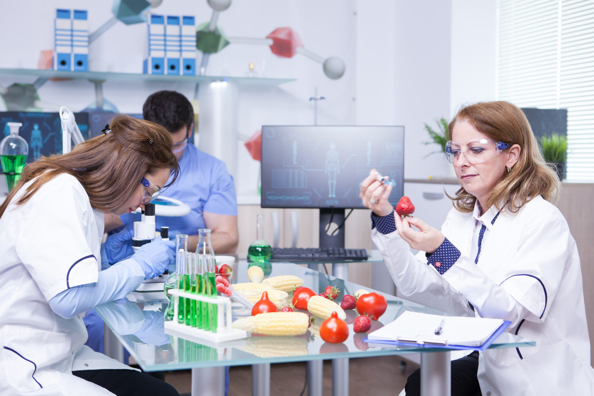 Food Processing – MoltEdify